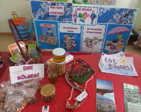 Hem Yaşam Hem Sınav Başarısı İçin - Final Okulları